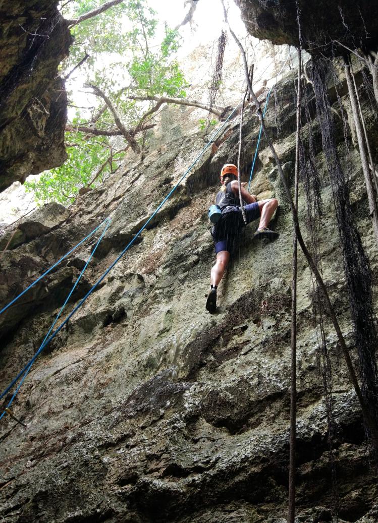 Photos - Cayman Brac Climbing - Rock Iguana Ltd - Rock Climbing and ...